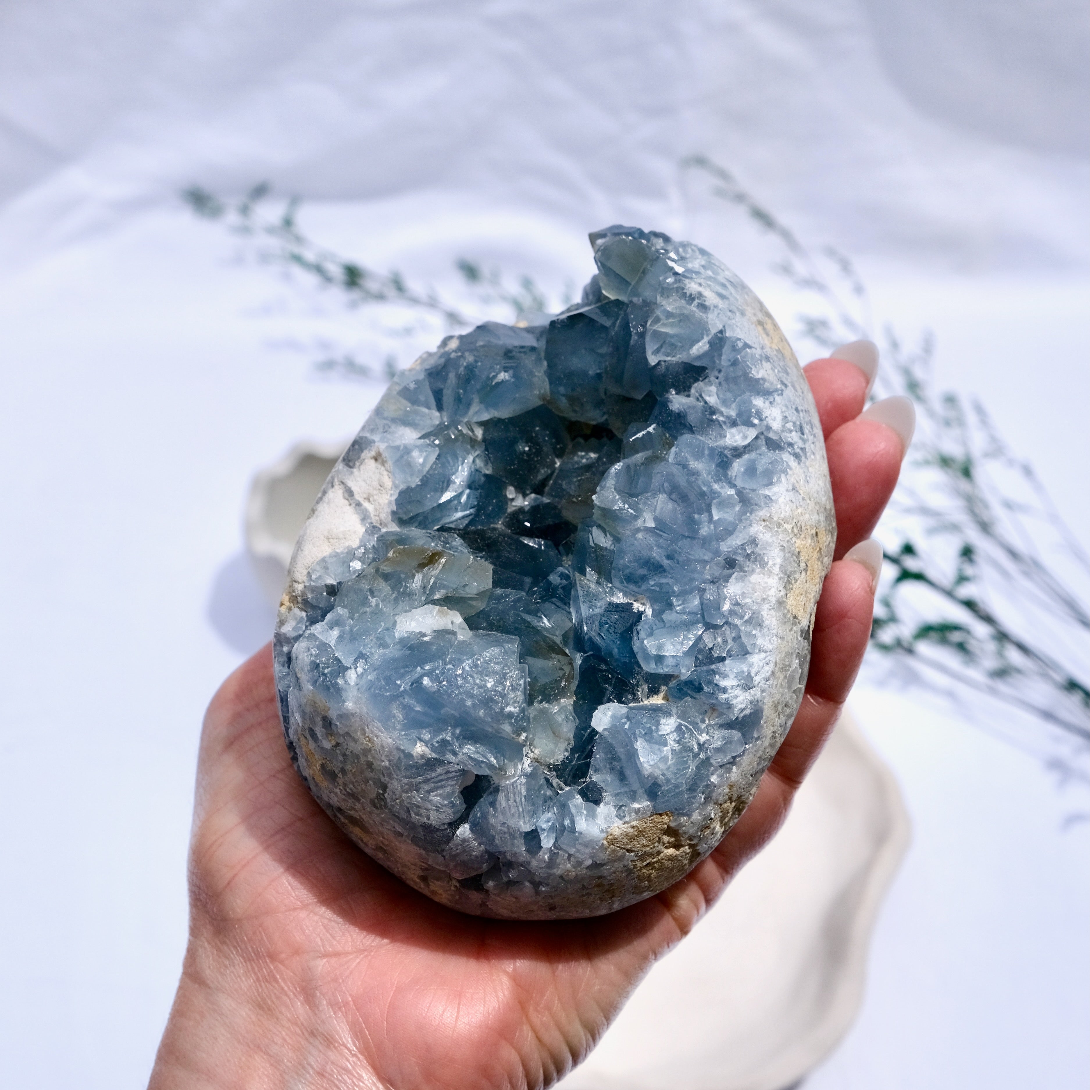 Celestite Egg – Star & Earth Crystals